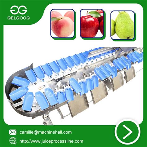 Automatic Fruit Weight Sorting Machine Vegetable Classifying Machine