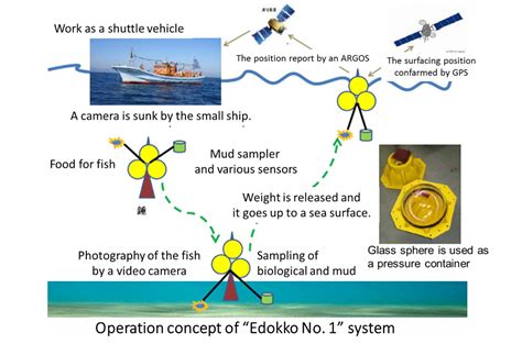Japan Pioneers Long Term Deep Sea Monitoring Technology Dsm Observer