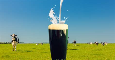 What Is The Difference Between A Stout And Milk Stout HBK