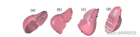 点云配准（五） Sparse Point Registration 算法浅析 Csdn博客