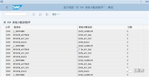 Sap 中国财务报表格式 Idcnbsais 咨询说