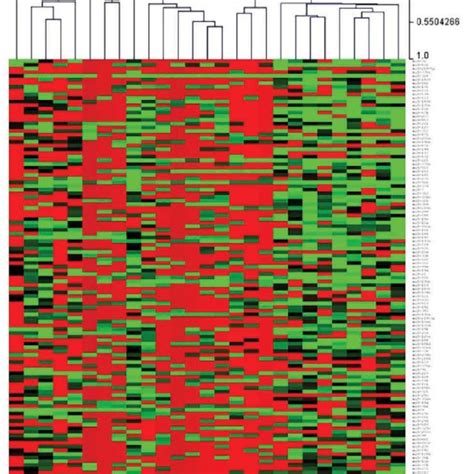 hierarchical clustering heat map for total plasma mirna hierarchical