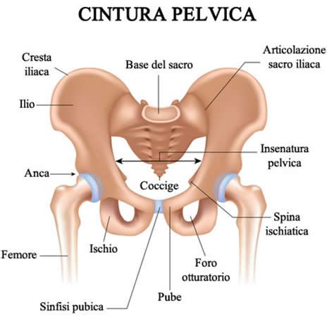 Pube