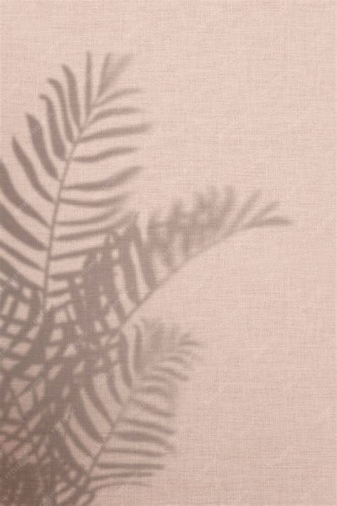 야자수 잎 그림자와 분홍색 배경 무료 사진