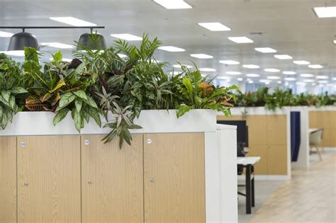 Office Design Office Design Trends Office Design Office Feature Wall