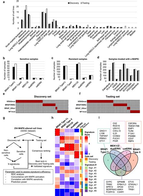Class Based Mapki Predictive Sensitivity Signatures Validation The Gdsc