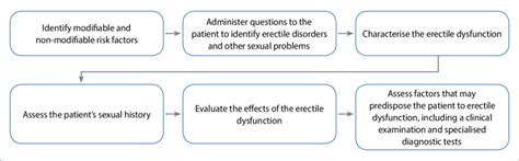 Diagnostic Investigations Into Erectile Dysfunction 610 Download Scientific Diagram
