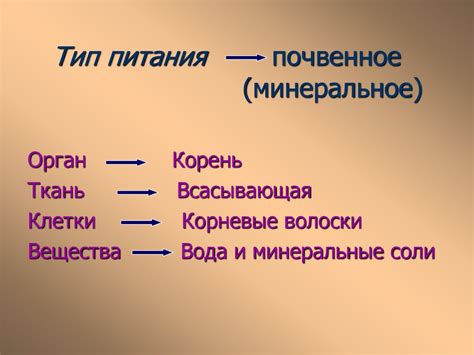 Питание и пищеварение презентация онлайн