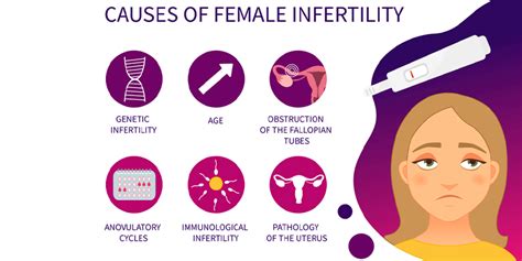 Learn About Infertility Causes And Types Oasis Fertility