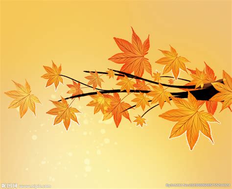 卡通秋天枫叶素材设计图其他广告设计设计图库昵图网