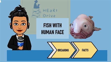 Fish With Human Face Blob Fish Breaking Facts HEaRt Drive YouTube