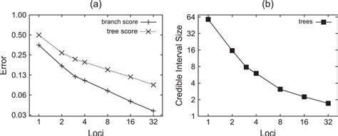 A Species Tree Estimation Error And B 95 Credible Interval Size