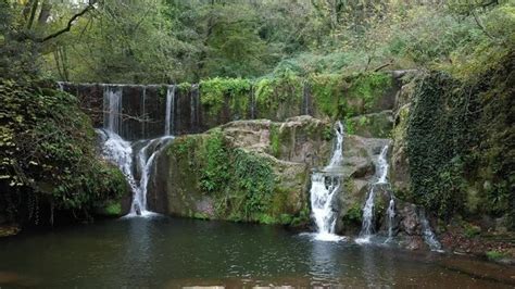 Igazu Bilder Bläddra Bland 220 Stockfoton Vektorer Och Videor Adobe Stock