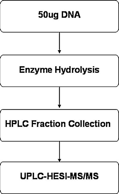 Schematic Outline Of Analysis Protocol Download Scientific Diagram