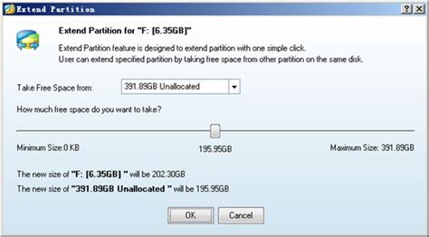 The Excellent Windows Server Partition Manager Software