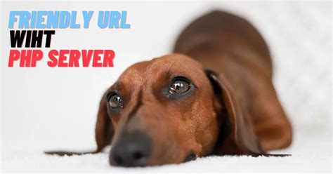 Friendly Rewriting In Built In Web Server Of PHP Mazer Dev