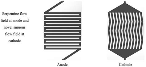 Serpentine Flow Field At The Anode And Novel Sinuous Flow Field At The Download Scientific