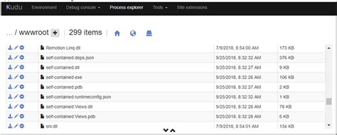 What Is Self Contained Deployment Mode Works Locally But Not After Deploying The Best C