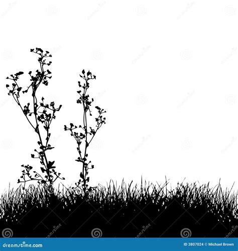 Grass And Plants Silhouette Background Stock Vector Illustration Of