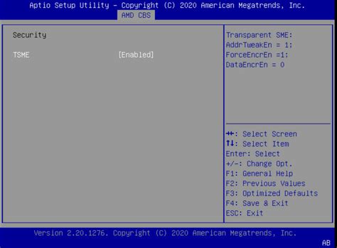 secure memory encryption testing · randomsecurity dev