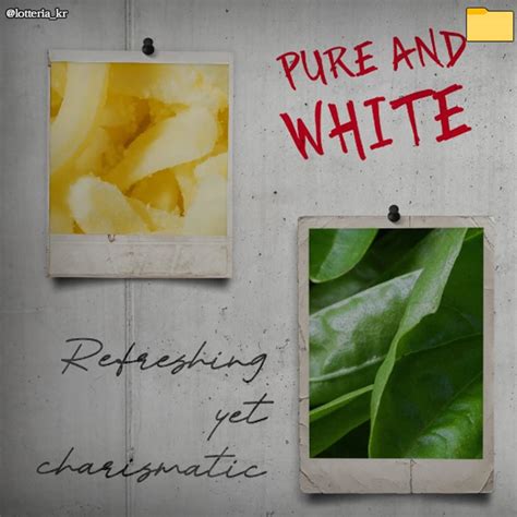 푸드파일러 신상•신메뉴 결국 나와버렸읍니다🤦‍♂ 롯데리아의 역대급 신메뉴 출시 나폴리 맛피아 권성준 셰프와의 협업으로 탄생한 롯데리아 신상 모짜렐라와 토마토