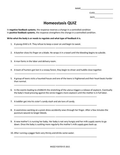 homeostasis problem set quiz with answers teaching resources