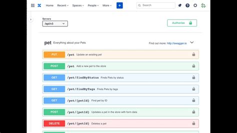 Visualize Openapi Swagger Widget For Confluence Youtube