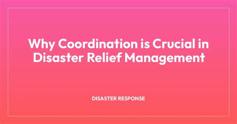Why Coordination Is Crucial In Disaster Relief Management • Disaster Shiksha