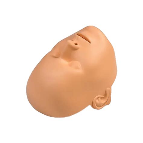 Economical Cpr Manikin At Rs 13500 Cpr Manikin In Coimbatore Id
