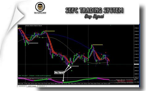 Sefc Trading System The Forex Geek