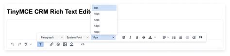 How To Create Custom CRM Rich Text Fields TinyMCE