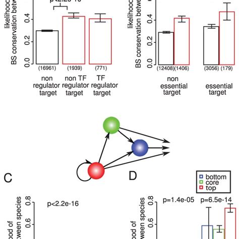 TF Binding Sites In The Promoters Of Regulatory Genes TF Binding Sites Download Scientific