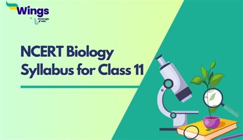 Courses After Bipc After Inter Bipc Courses List 2025