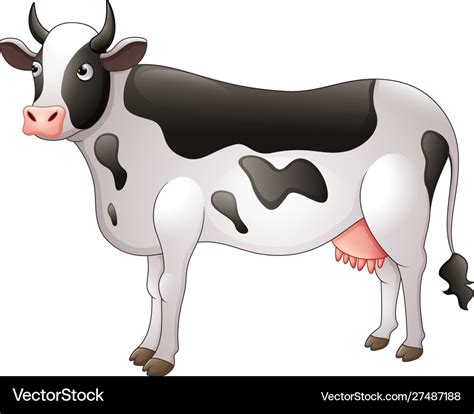 Cow Cartoon