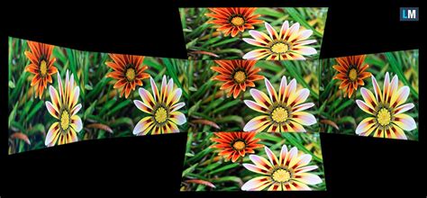 Acer Aspire 3 A315 59 Review Affordable But Slightly Impractical Display Quality Health