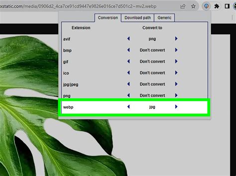 How To Save Webp Images As  8 Simple Methods