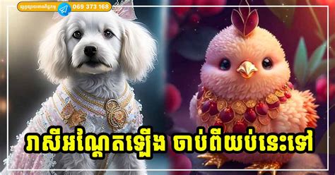 ផុតពីយប់នេះទៅ អ្នកឆ្នាំទាំង ៣ រាសីខ្ពស់ យីអ៊ុនអណ្ដែតឡើង កាក់កប រកលុយបានច្រើន Knongsrok
