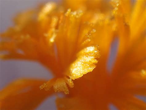 Dkit Business Assignment Cover Sheet