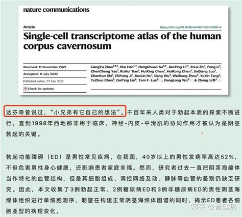 基于singler和人工审查的单细胞亚群命名比较 知乎