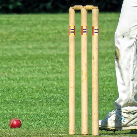 Cricket Datasetcsv Kaggle
