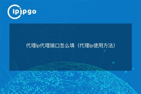代理ip代理端口怎么填(代理ip使用方法) Ipipgo 代理ip代理端口怎么填(代理ip使用方法) Ipipgo