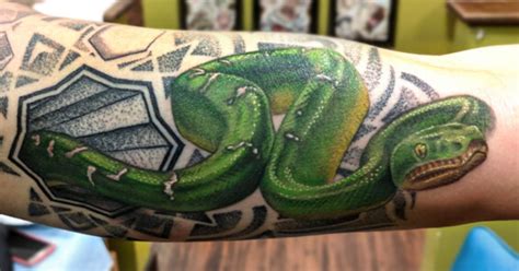 16 Best Python Tattoo Design Ideas Petpress