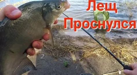 Лещ Проснулся Рыбалка Ранней Весной Смотреть онлайн в поиске Яндекса по Видео