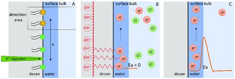 Proton Migration Along The Decane Water Interface A In An Effort To