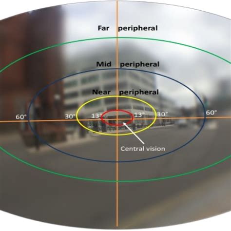 Human Field Of View Fov For Both Eyes Showing Different Levels Of