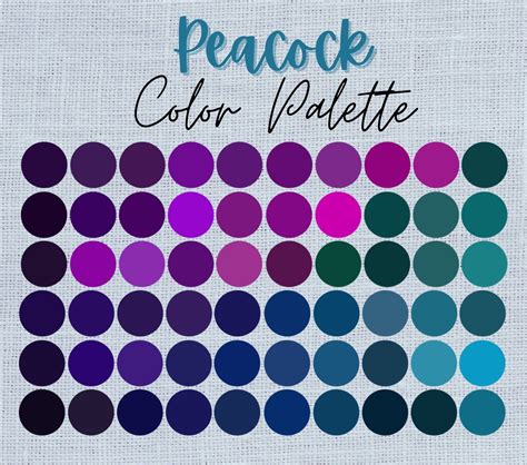 Peacock Color Palette For Procreate 60 Color Swatches Color Palette