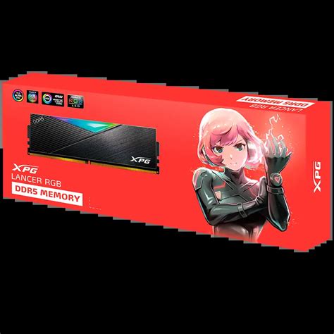 Resultados Para La Búsqueda Ram Ddr5