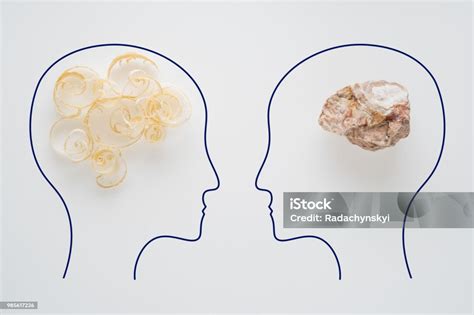톱 밥 뇌 모양과 돌 두뇌 모양 두 사람의 머리 다른 생각을 가진 두 사람입니다 합리적이 고 비이 성적인 생각입니다 아이디어와