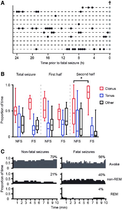 Frequency Of Spontaneous Non Fatal And Fatal Seizures Stage 5 And Download Scientific Diagram