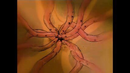 Legend Of The Overfied FAN EDIT